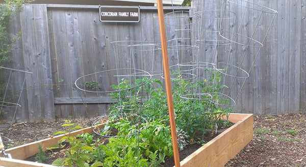 Custom Forest Service Sign | John Corcoran from California - Signs of ...